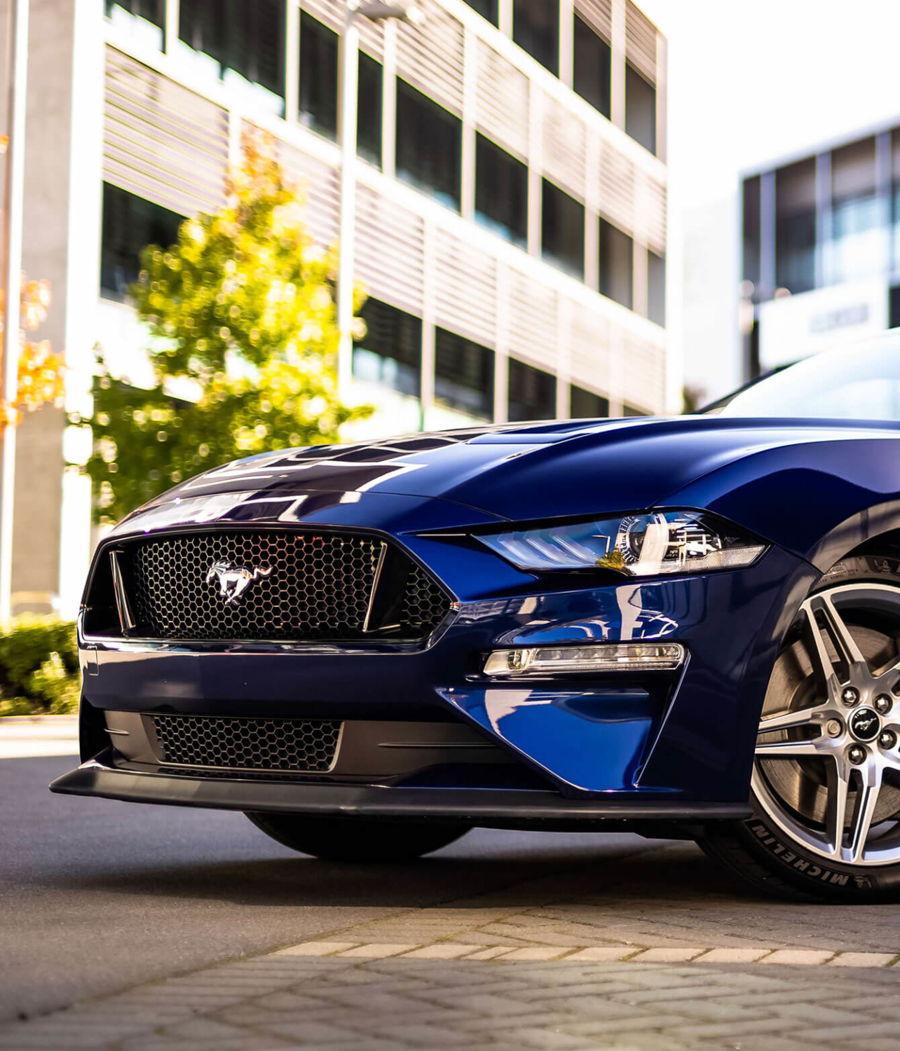 100 Plus High Octane Petrol - NPD