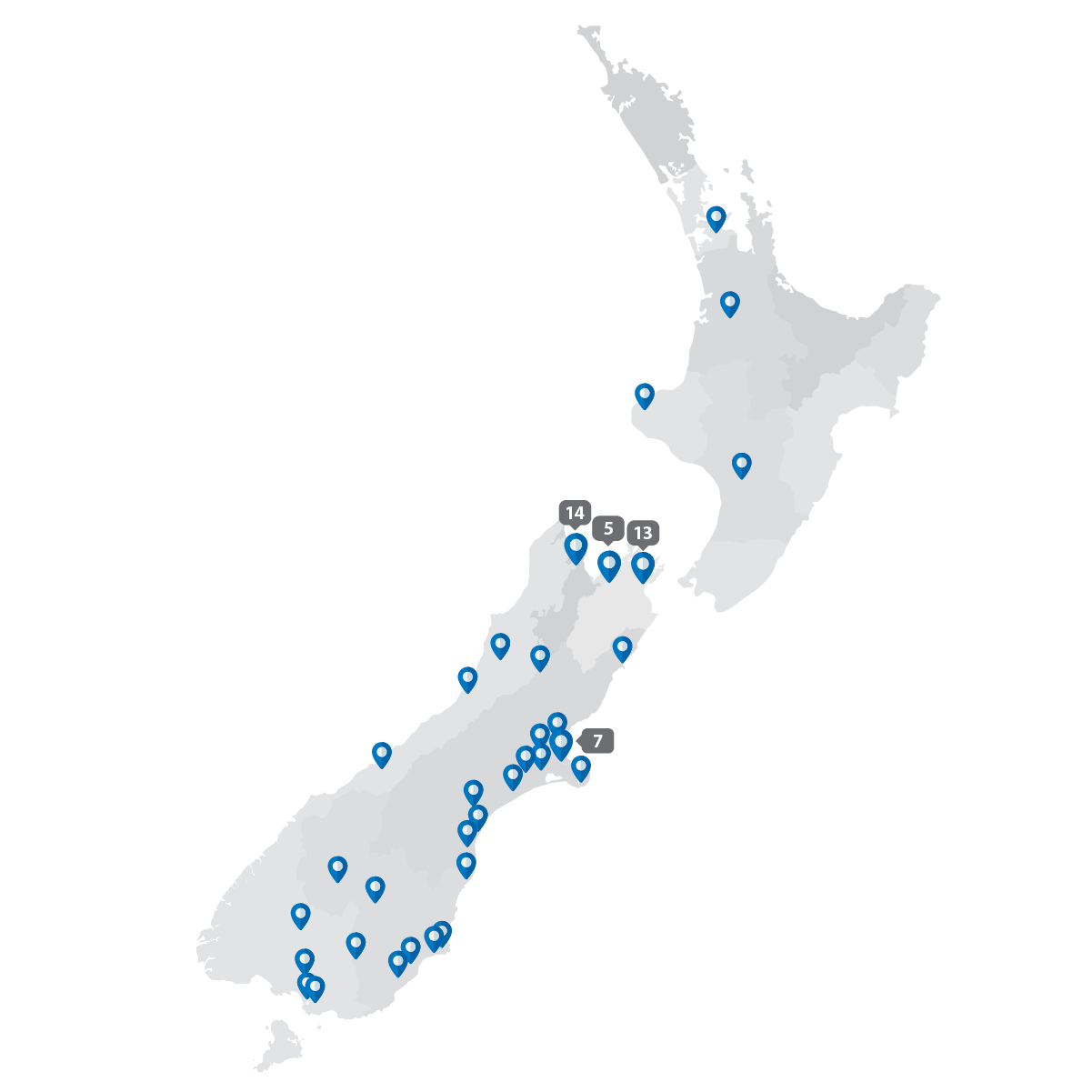 100 Plus High Octane Petrol - NPD